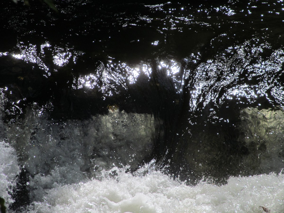 Water Rising – Piper's Adventures
